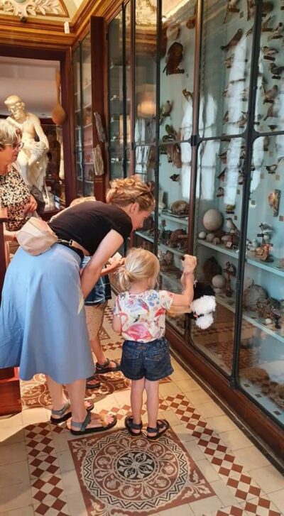 Défi au musée Cadres en folie 7-12 ans - 3 musées insolites en Anjou